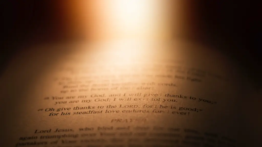 What Is A Coney In The Bible The Holy Script What Is A Coney In The Bible The Holy Script
